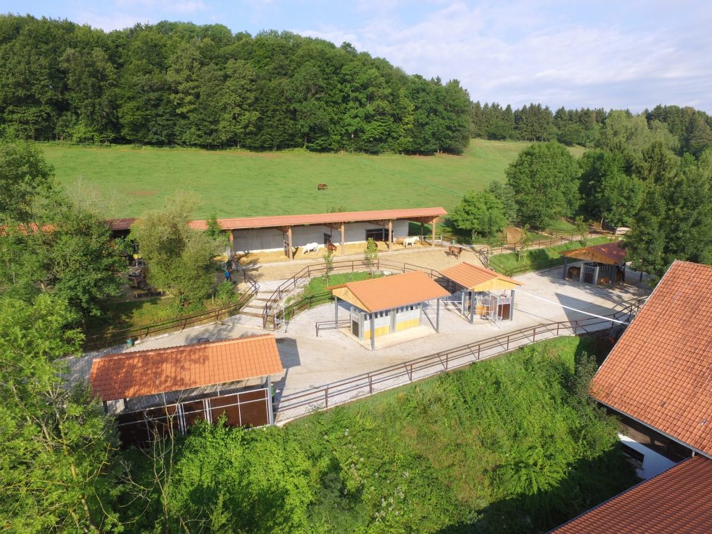 Sistemas de Establos Activos, Paddocks de Descanso – Ingequus